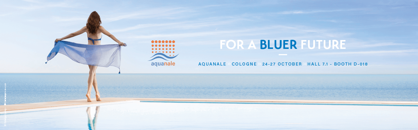 Hayward swimming pool equipment and spares supplier | Hayward | Hayward